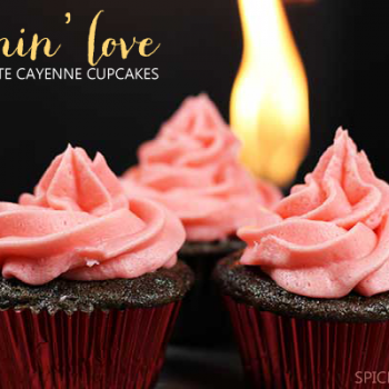 Chocolate Cayenne Cupcakes | Fun cupcake recipe...with a bit of spice!