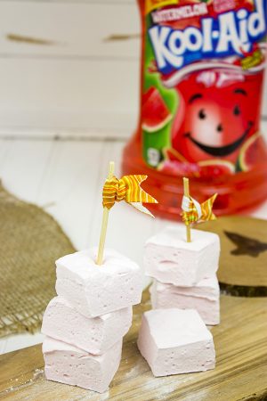 Homemade Watermelon Marshmallows | Fun recipe idea!