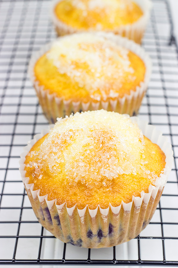 Bakery Style Blueberry Muffins | Deliciously over-sized blueberry muffins!