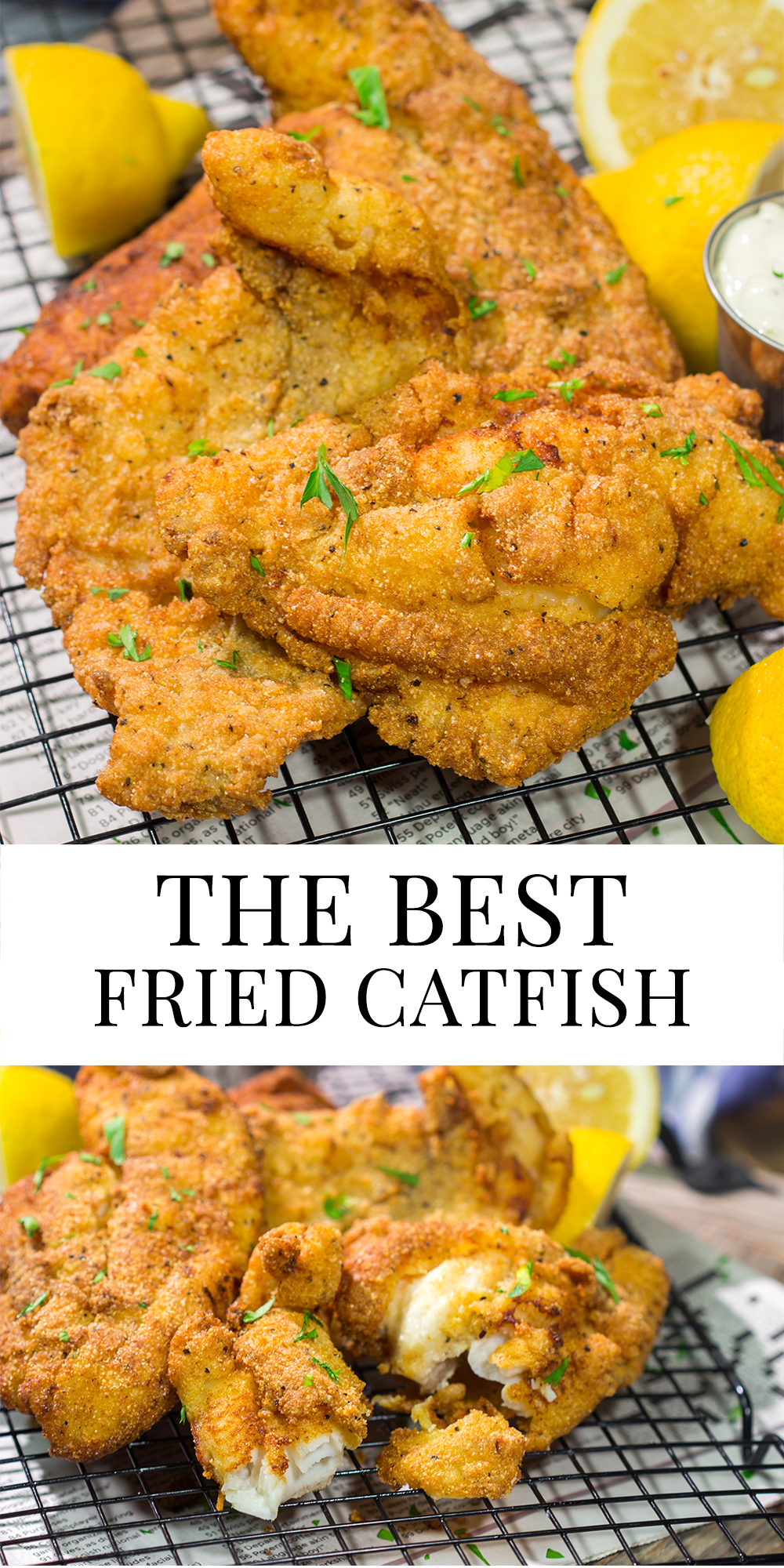 Fried Catfish | Spicedblog